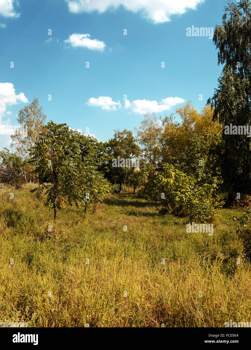 Small alley hi-res stock photography and images - Alamy