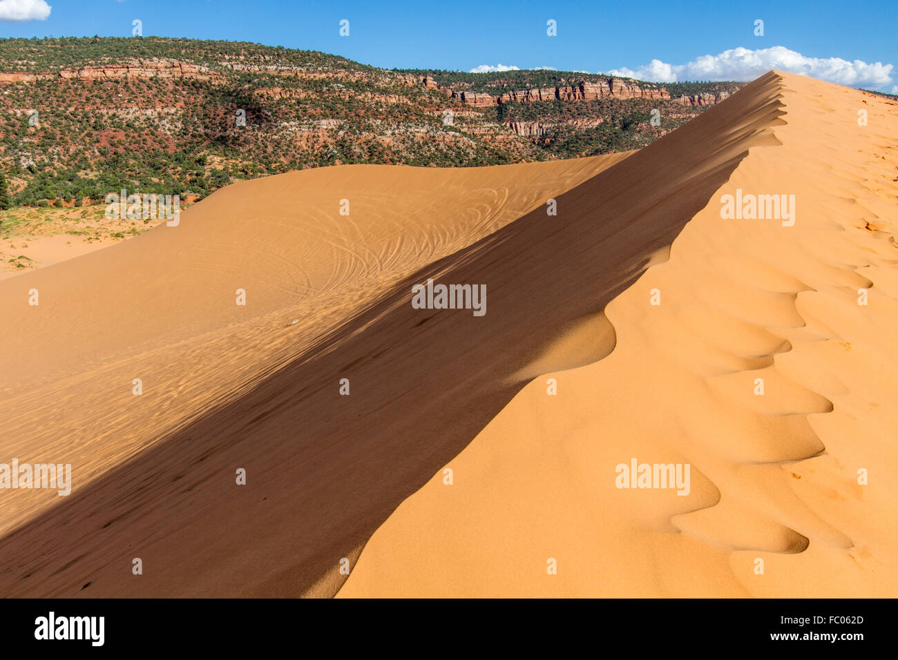 Coral Pink Sand Dunes Stock Photo - Alamy