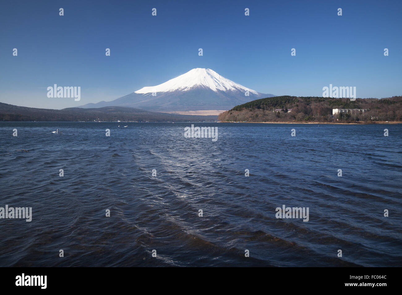 Snow capped Mt Fuji view in early Winter season from Lake Yamanaka ...