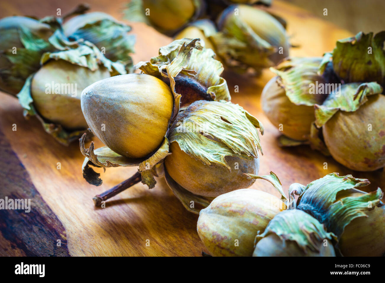 The hard shell hi-res stock photography and images - Alamy