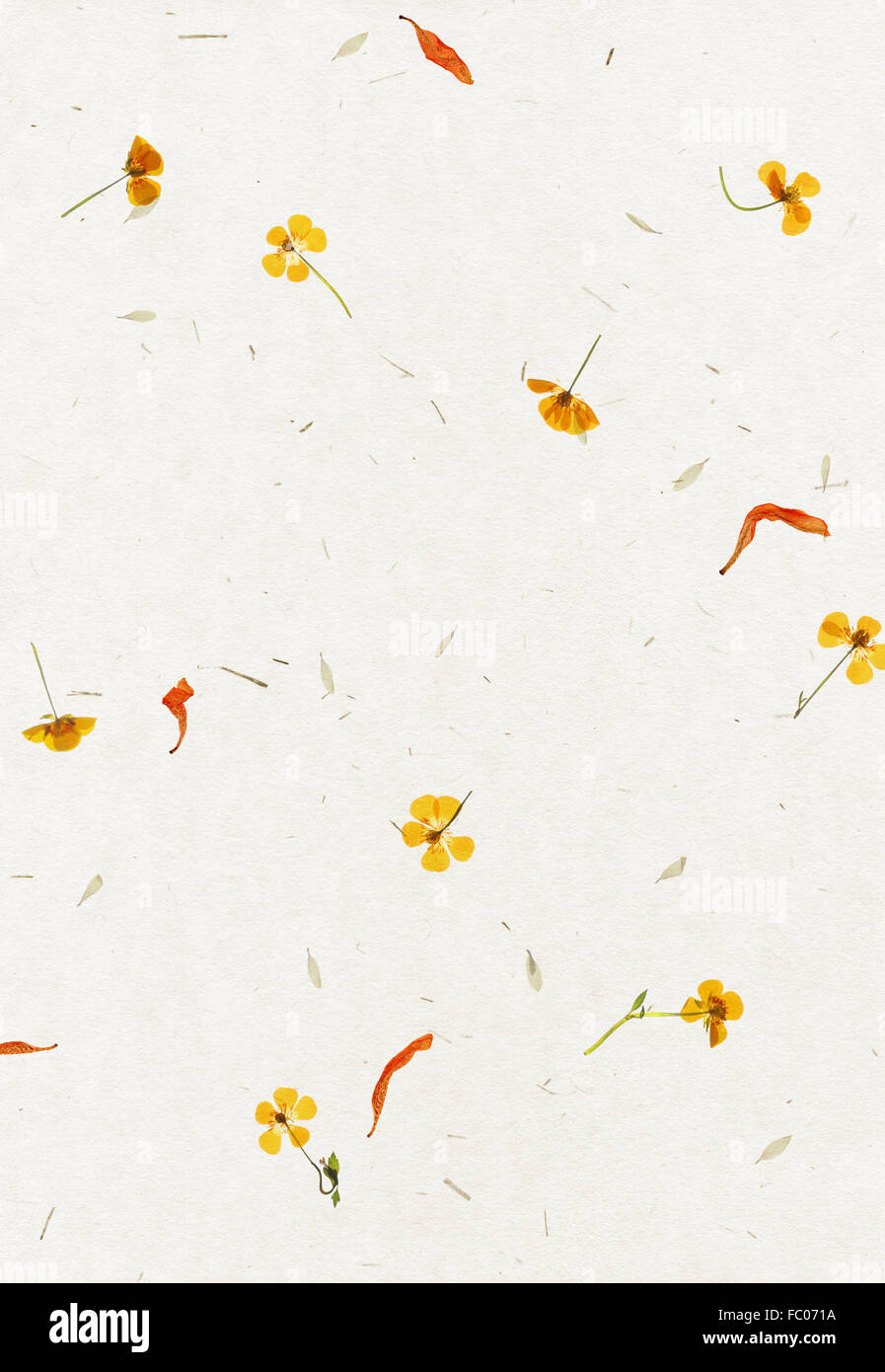 Handmade flower petal paper texture Stock Photo - Alamy