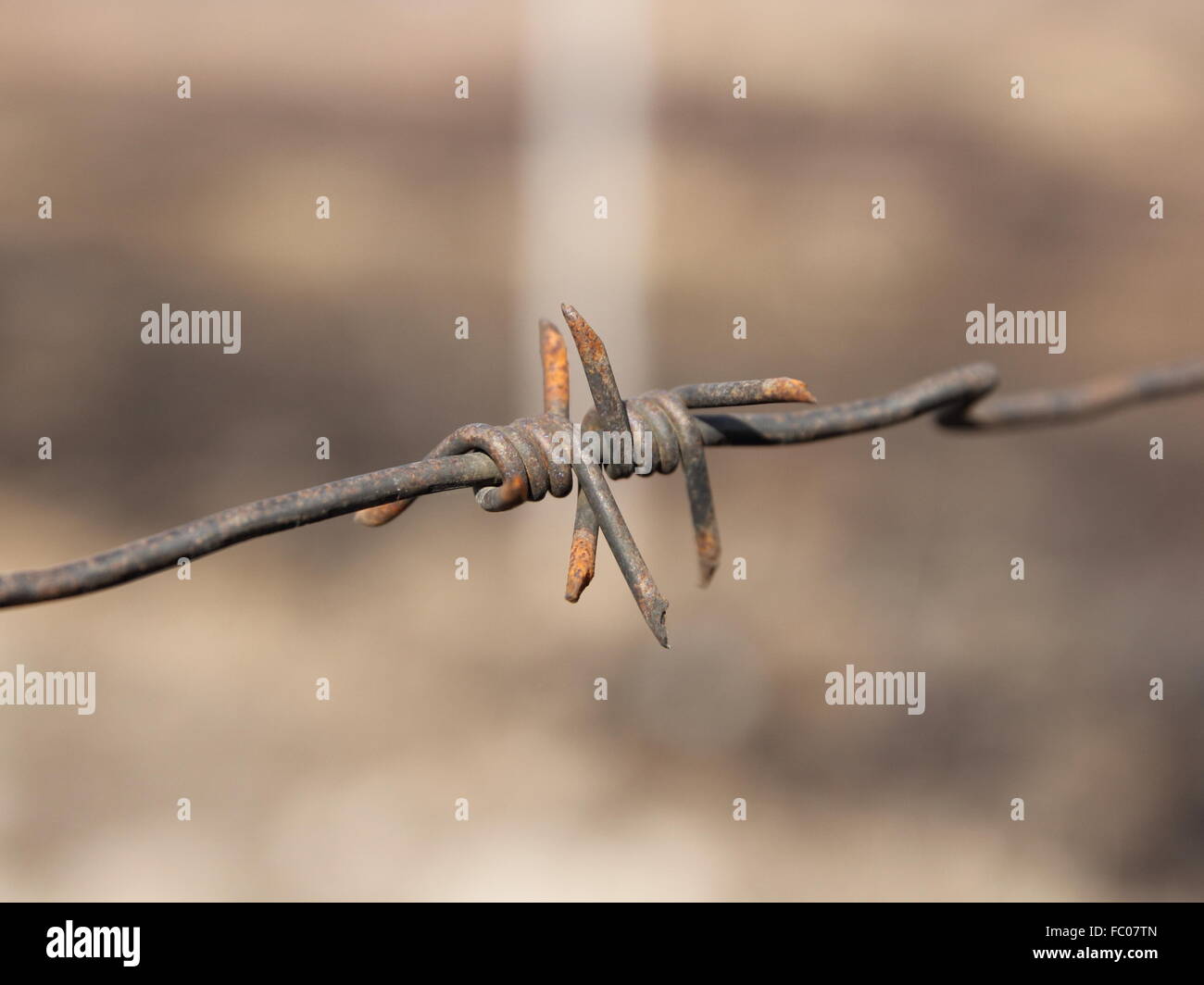 Barbed wires hi-res stock photography and images - Alamy