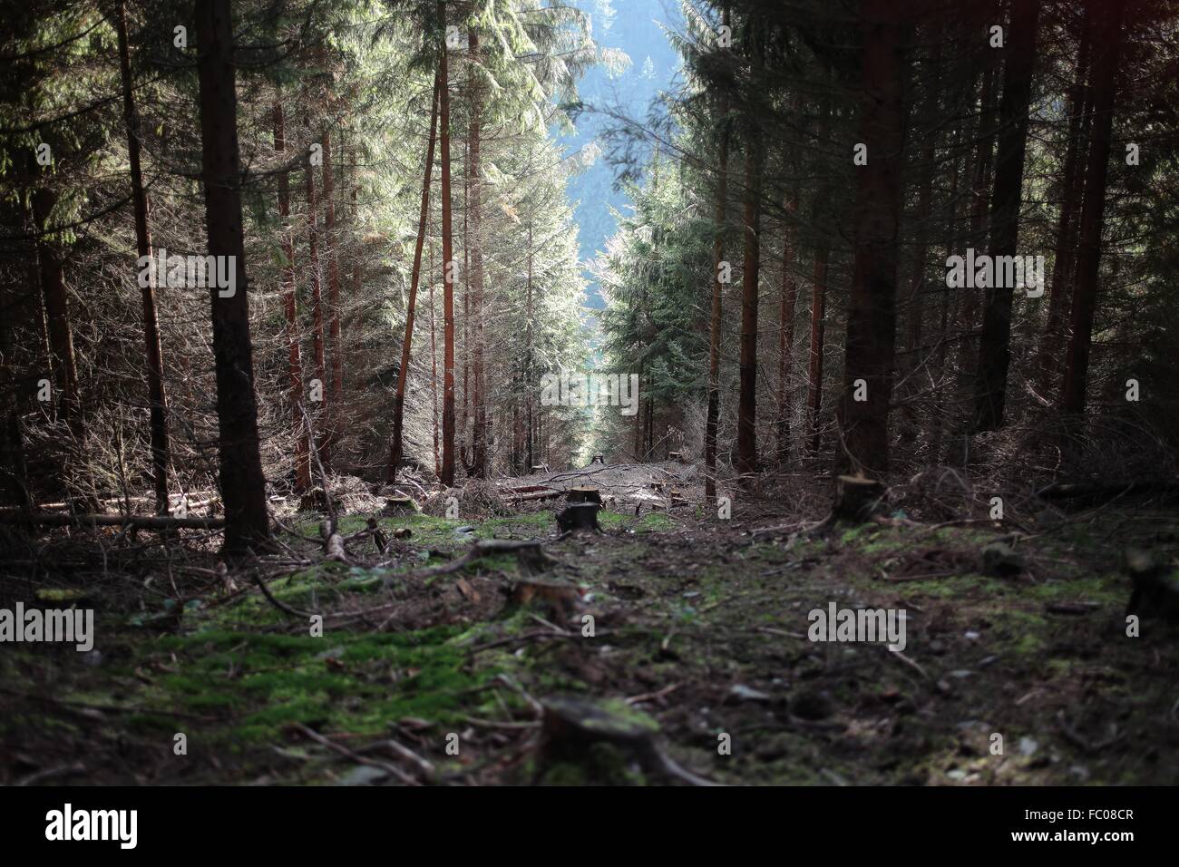 Aisle way hi-res stock photography and images - Alamy