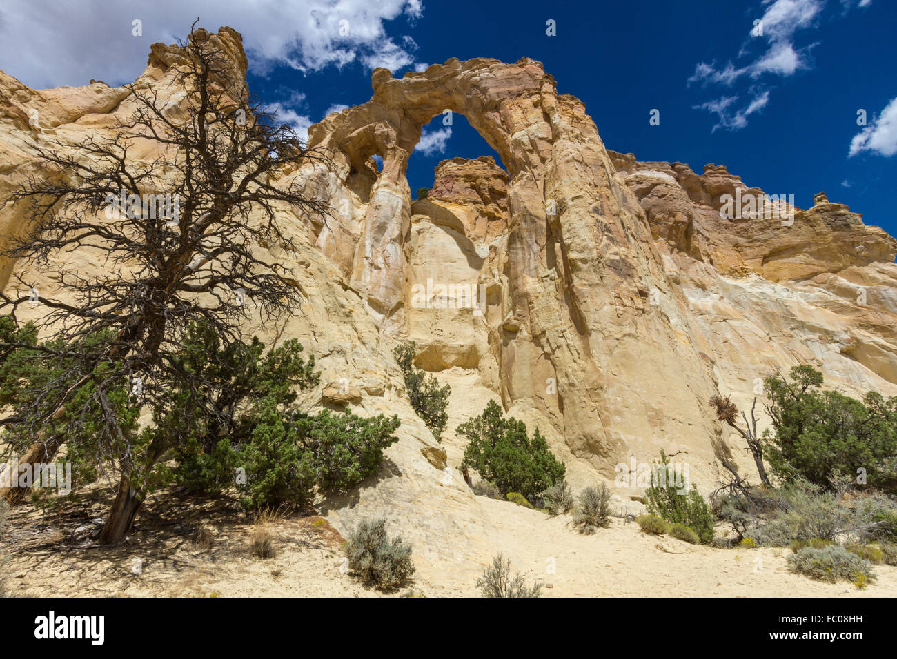 Grosvenor Arch 4 Stock Photo - Alamy