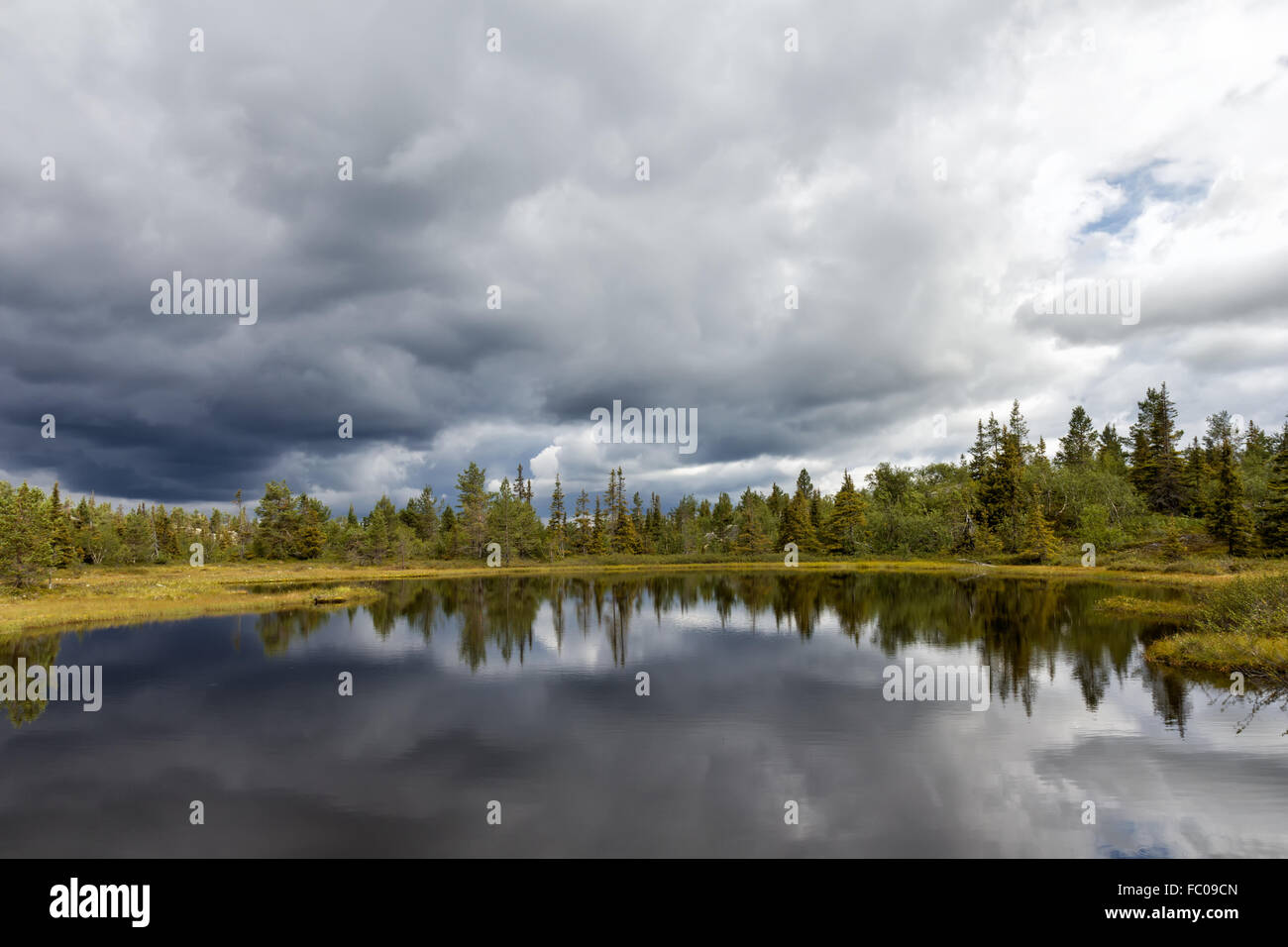 Forest Lake cloudy weather Stock Photo - Alamy