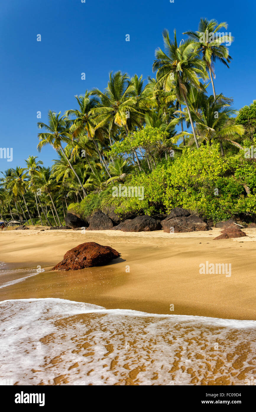 Cola beach goa hi-res stock photography and images - Alamy