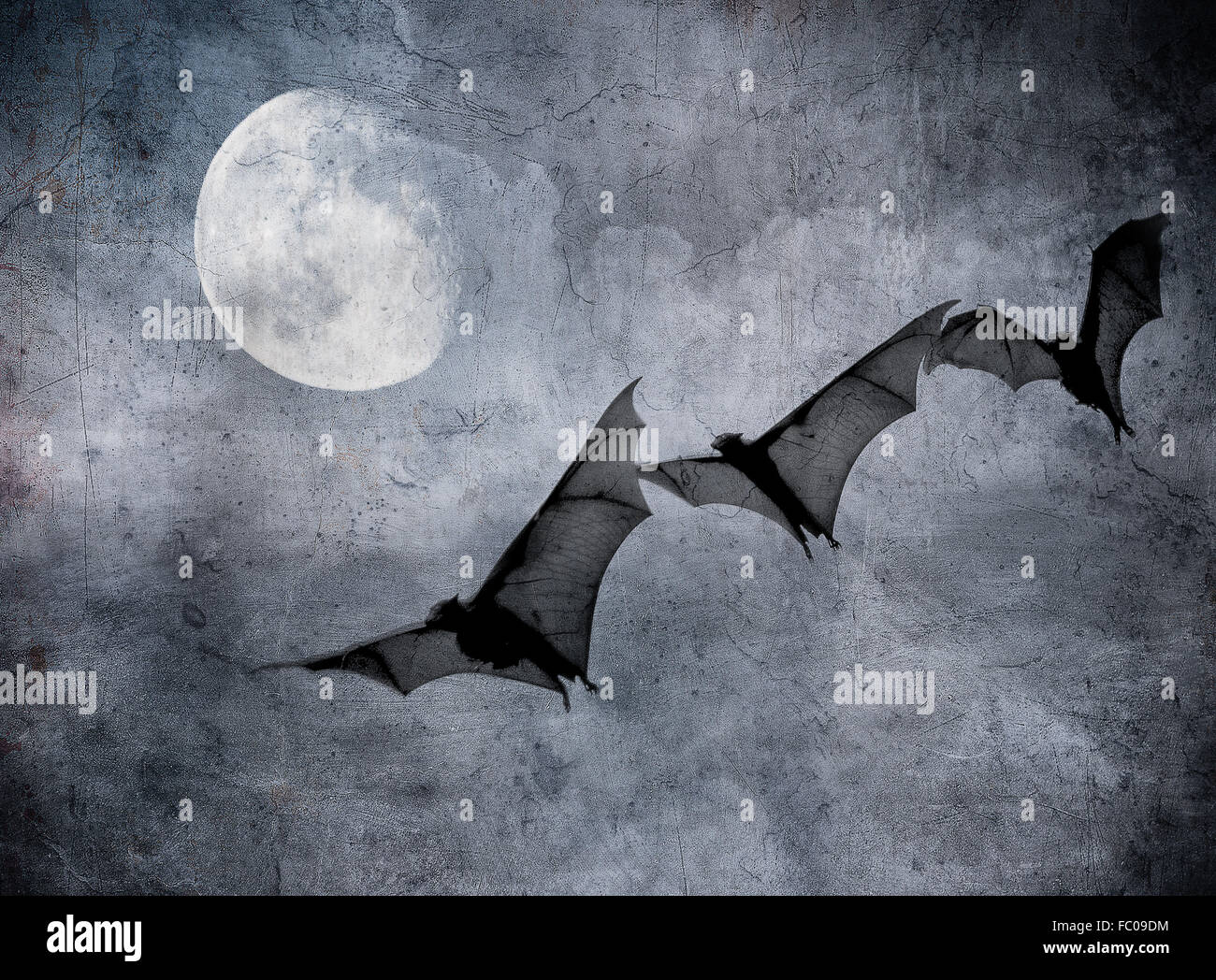 Bats in the dark cloudy sky hi-res stock photography and images - Alamy