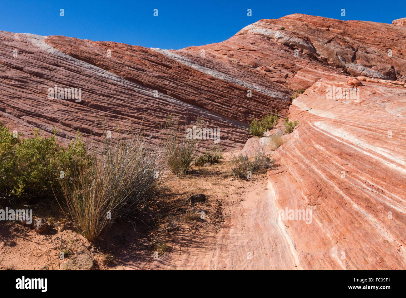 Fire wave 11 hi-res stock photography and images - Alamy