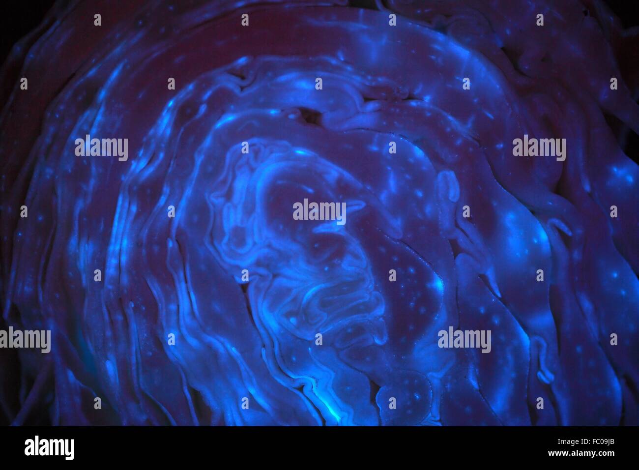 Luminol hi-res stock photography and images - Alamy