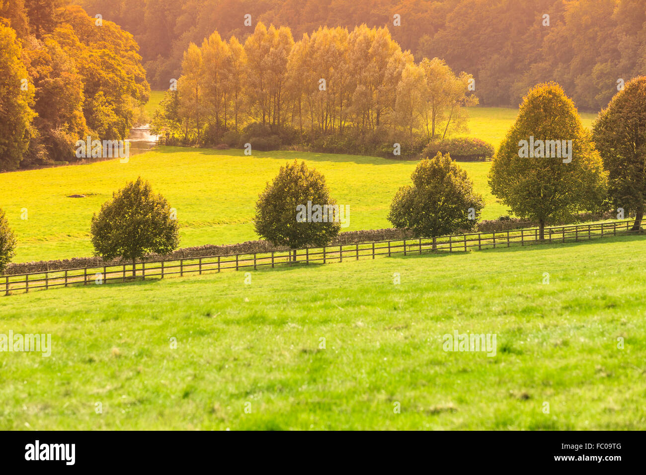 Outside village field grass hi-res stock photography and images - Alamy