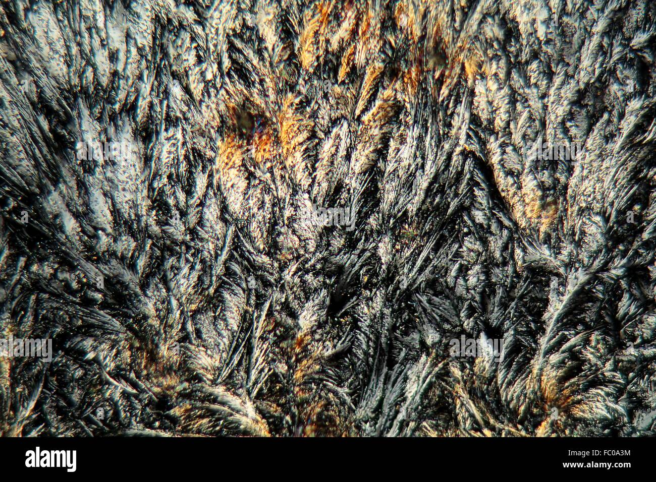 Medicine under the microscope - Nystatin Stock Photo - Alamy