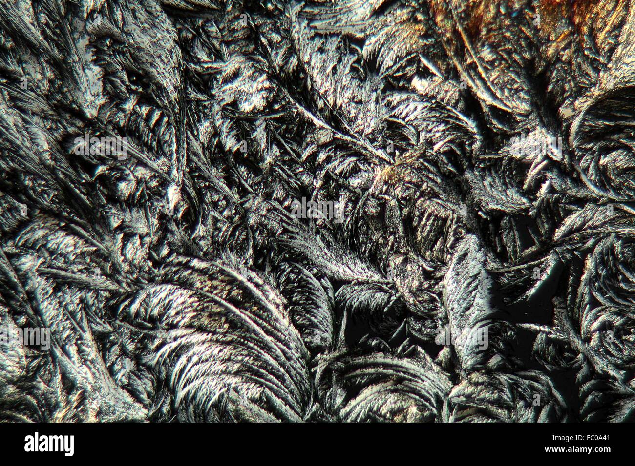 Medicine under the microscope - Nystatin Stock Photo - Alamy