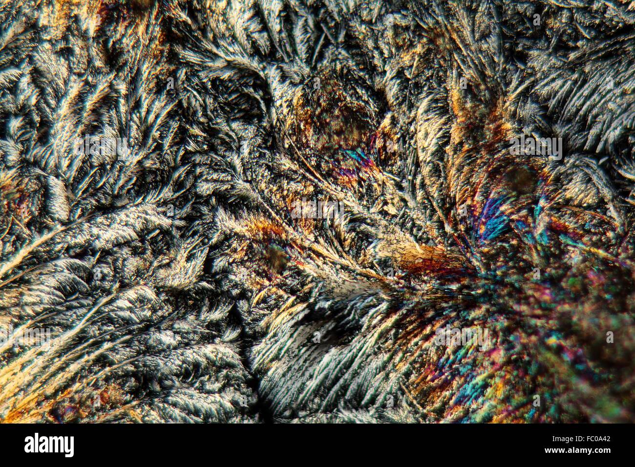 Medicine under microscope nystatin hi-res stock photography and images ...