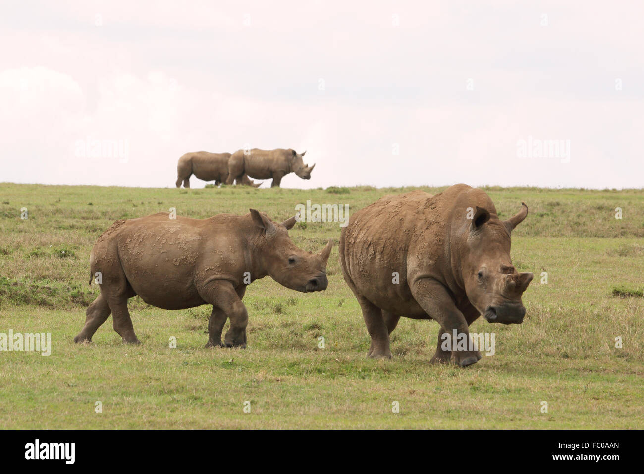 Big four ranch hi-res stock photography and images - Alamy