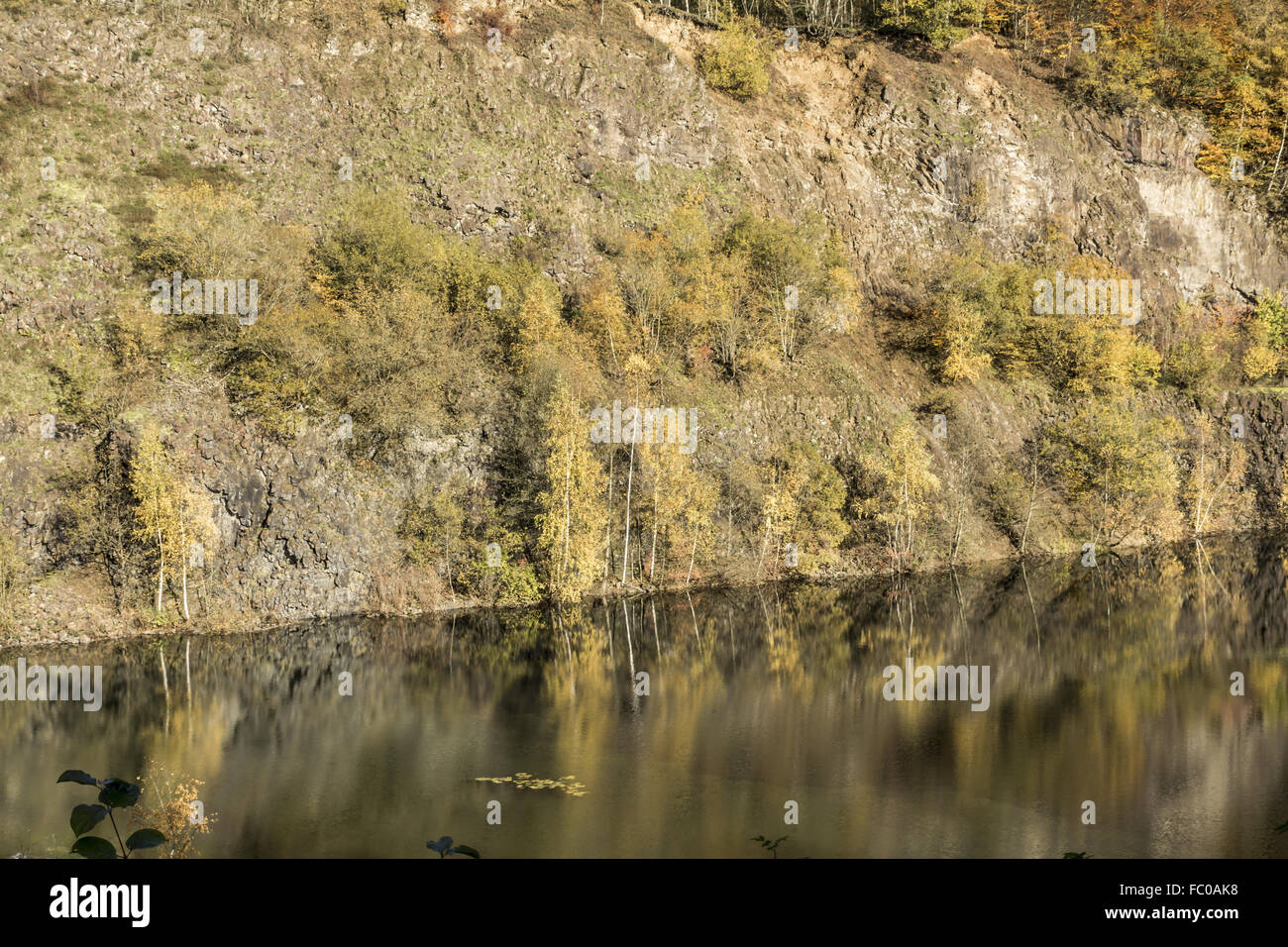 rocks and Trees Stock Photo - Alamy