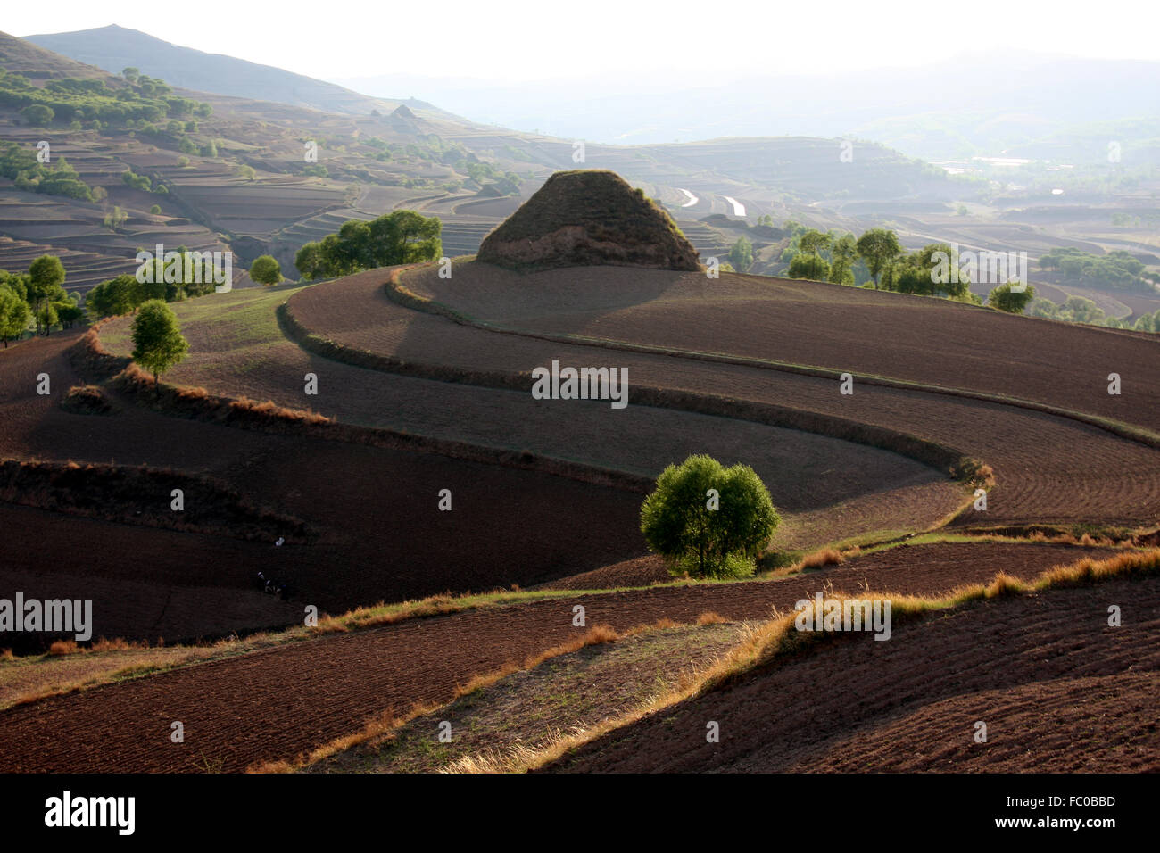 The old Cow Bay Pianguan Country Xin zhou City Shanxi Province Stock ...