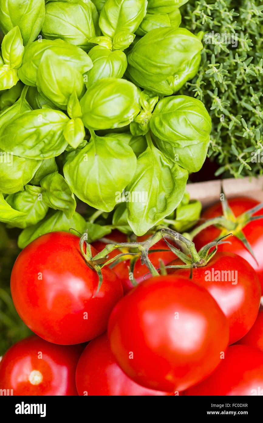 Tomate basilikum garten hi-res stock photography and images - Alamy