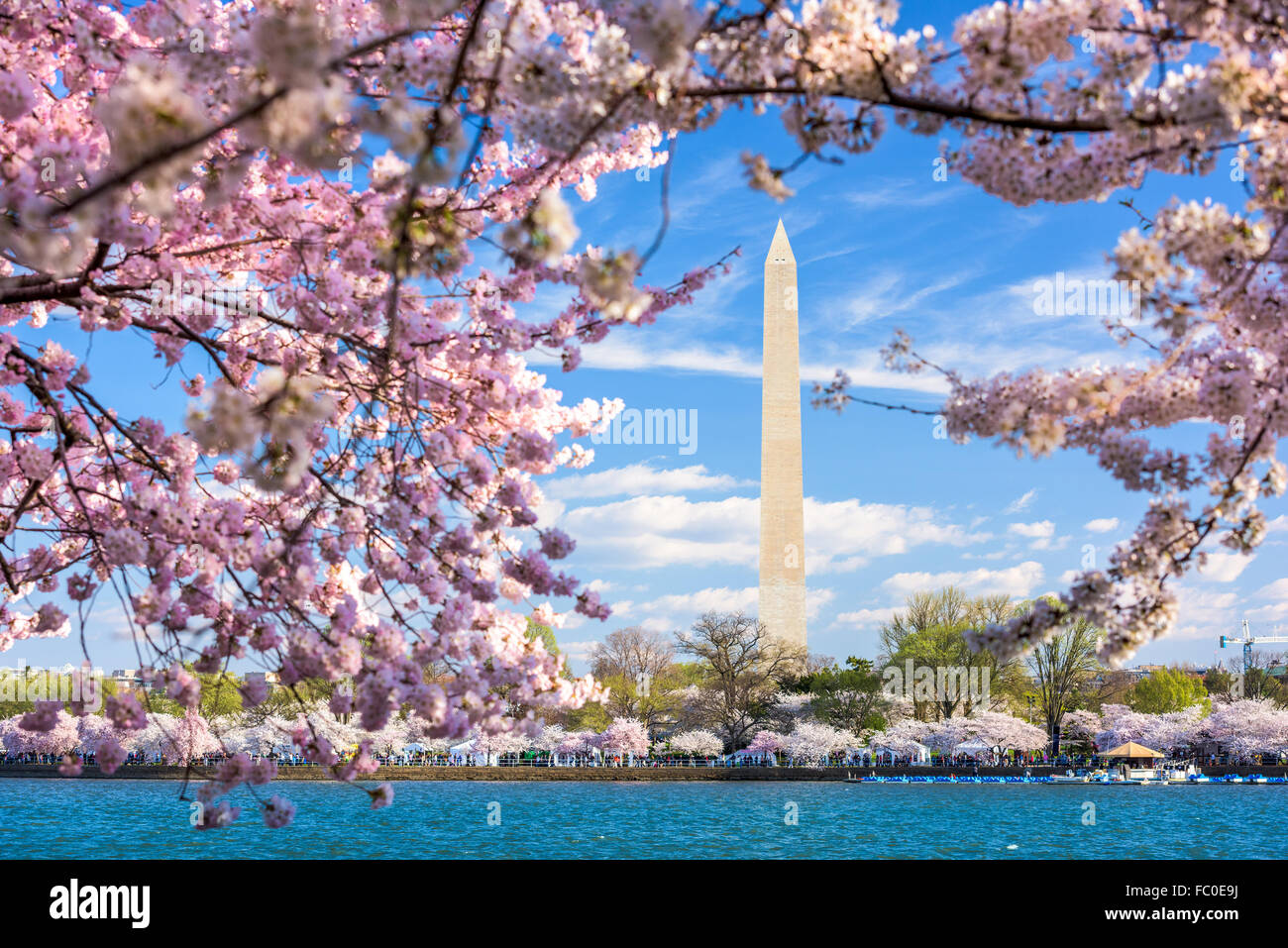 Washington dc skyline spring hi-res stock photography and images - Alamy