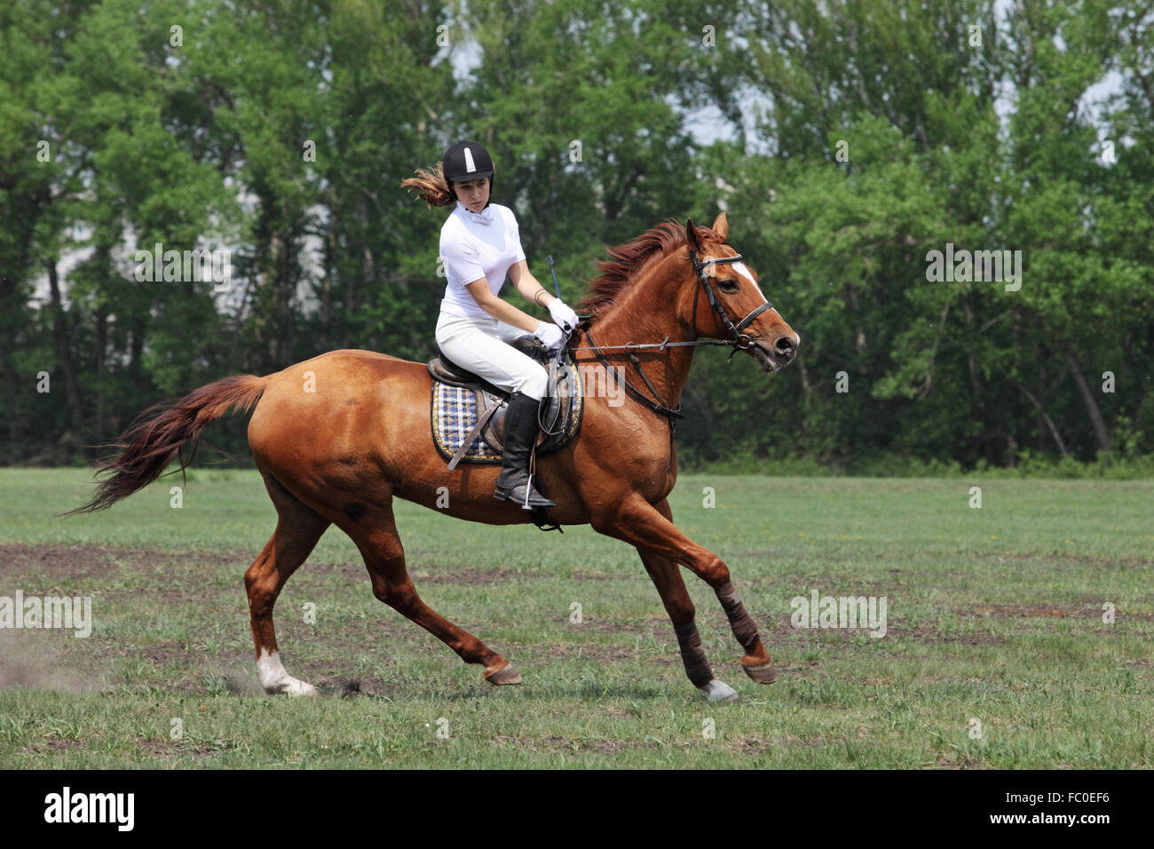Girl riding bay dressage horse Stock Photo - Alamy