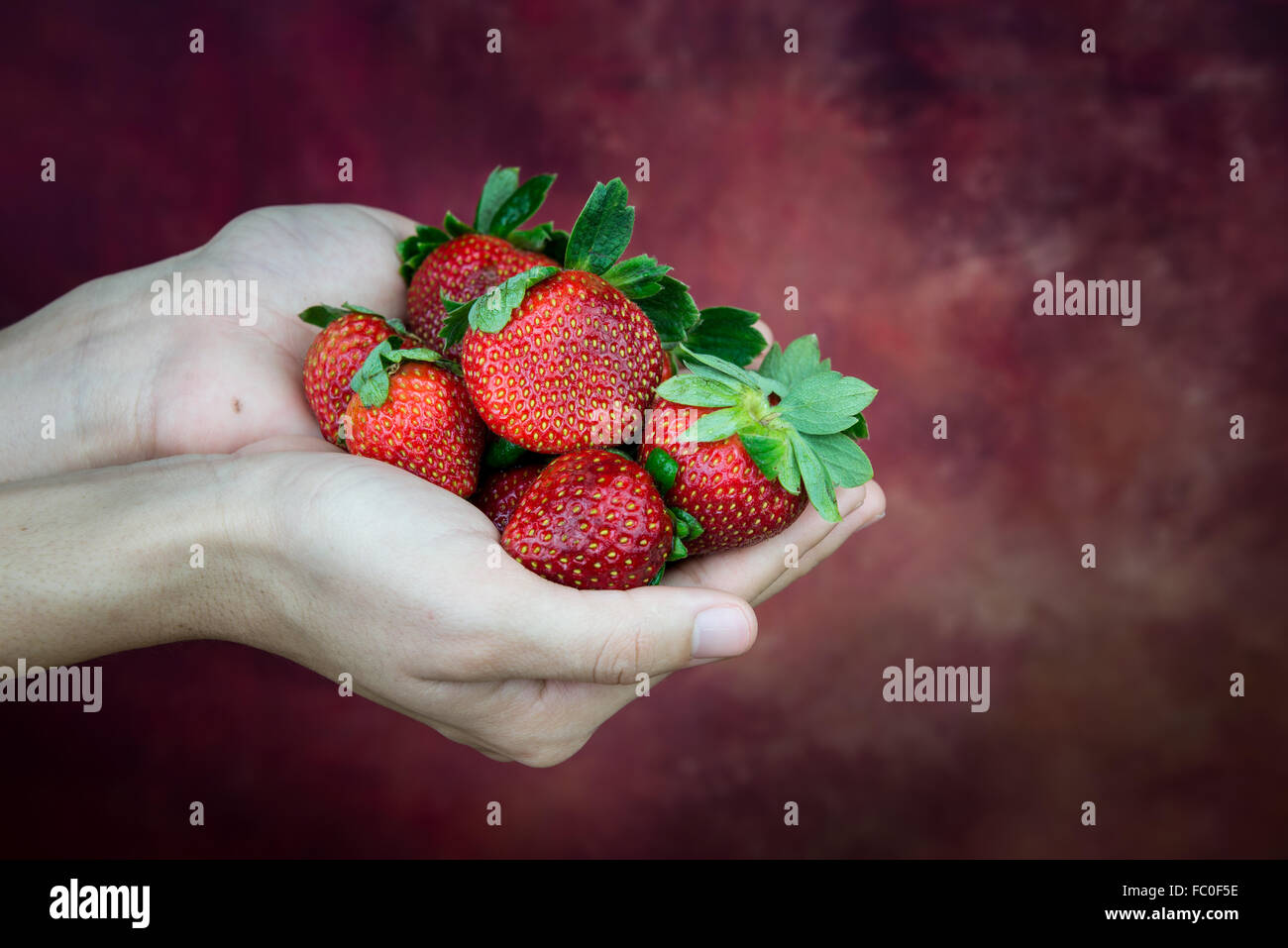 Hands carry hi-res stock photography and images - Alamy