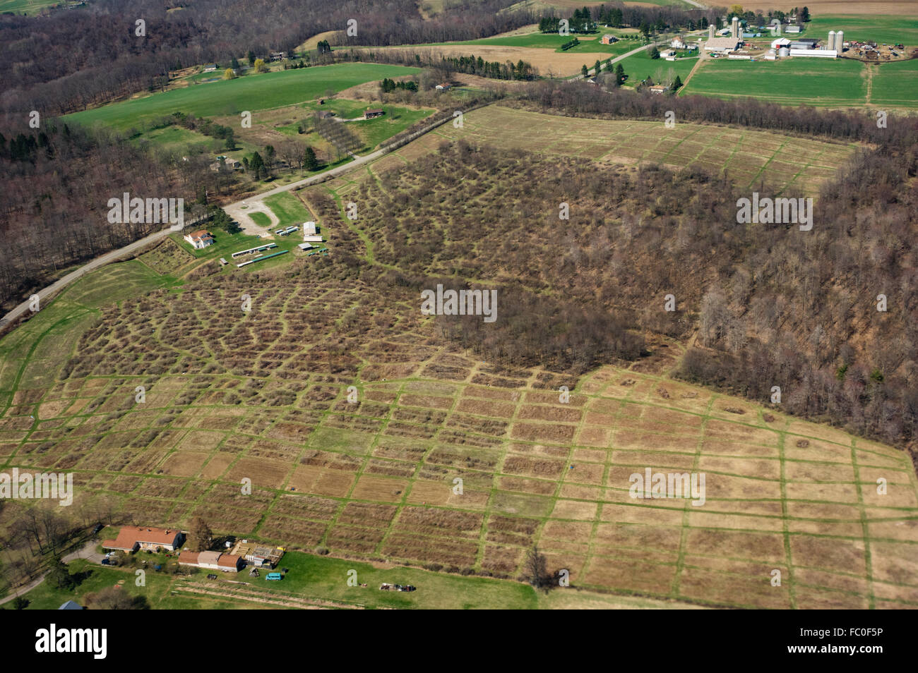 Areial view of divided farm plots with farm buildings Stock Photo - Alamy