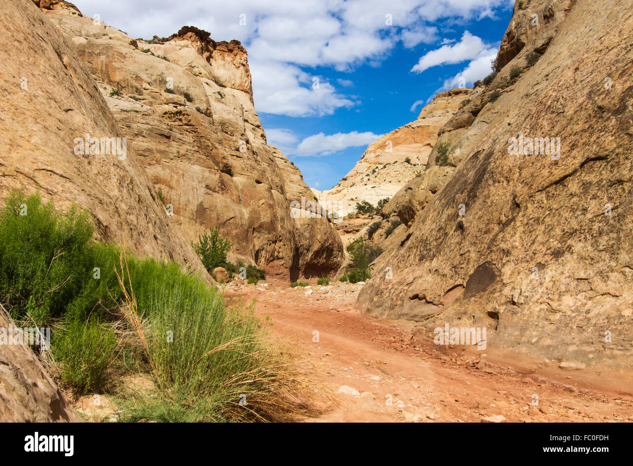 Capitol Gorge Trail Stock Photo - Alamy