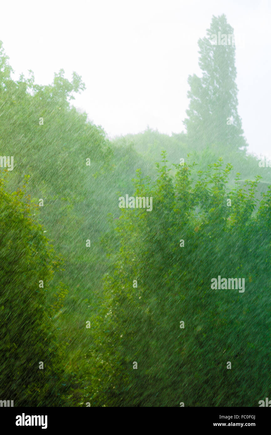 Rainy outside window green background texture Stock Photo - Alamy