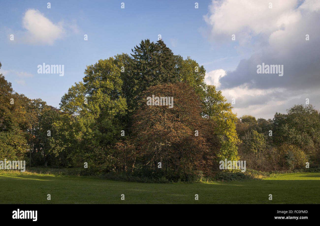 Ruegen - In the park of Putbus Stock Photo - Alamy