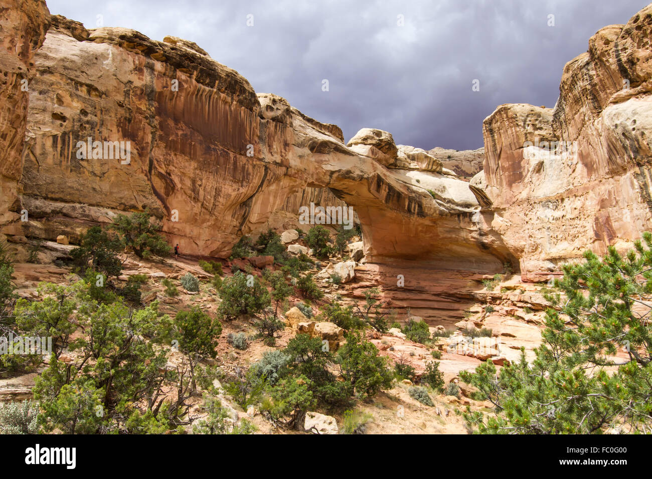 Hickman arch hi-res stock photography and images - Alamy