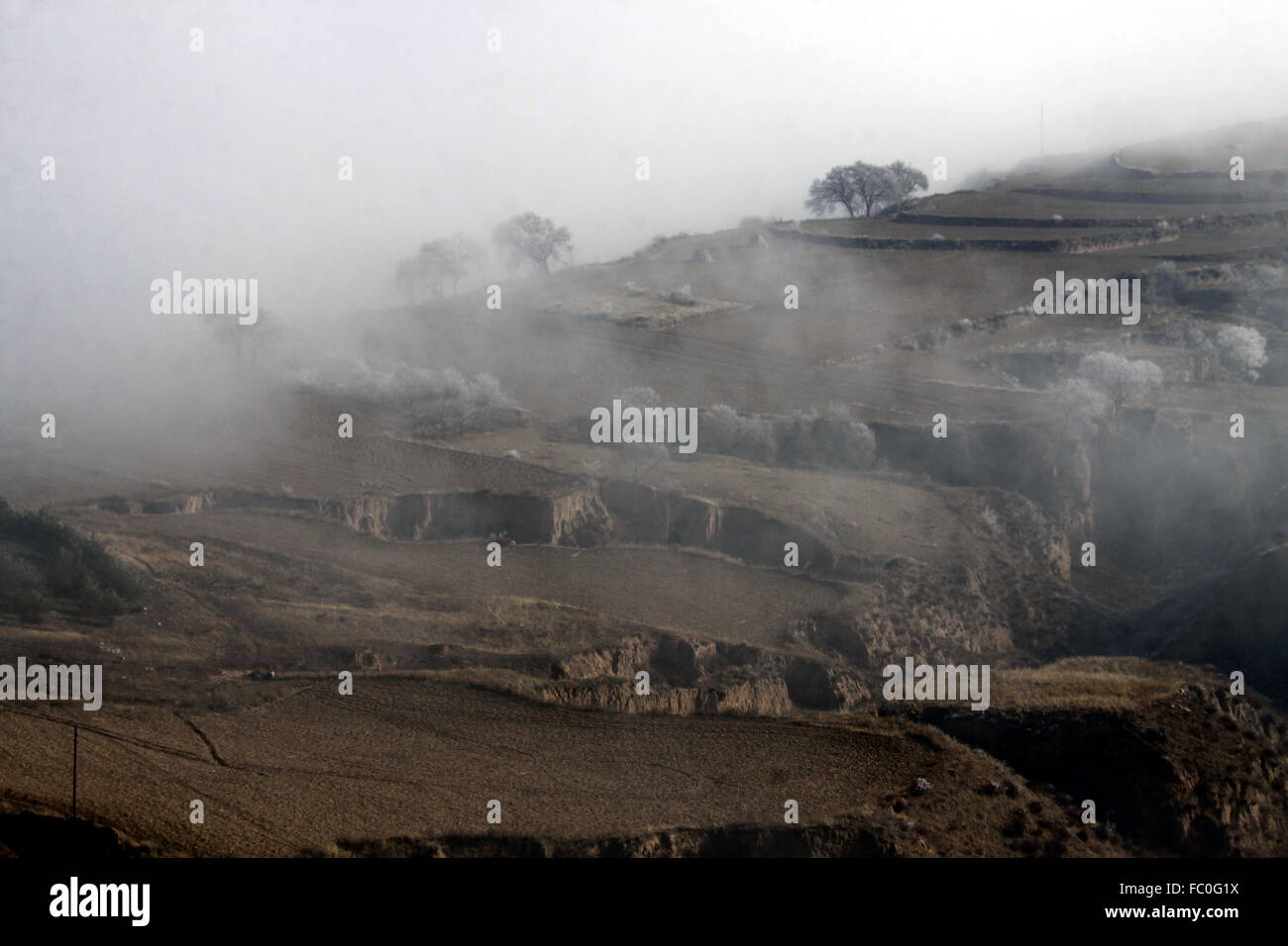 The old Cow Bay Pianguan Country Xin zhou City Shanxi Province Stock ...