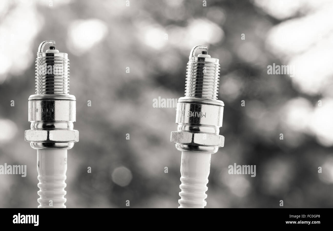 Auto service. Two new spark plugs as spare part of car Stock Photo - Alamy