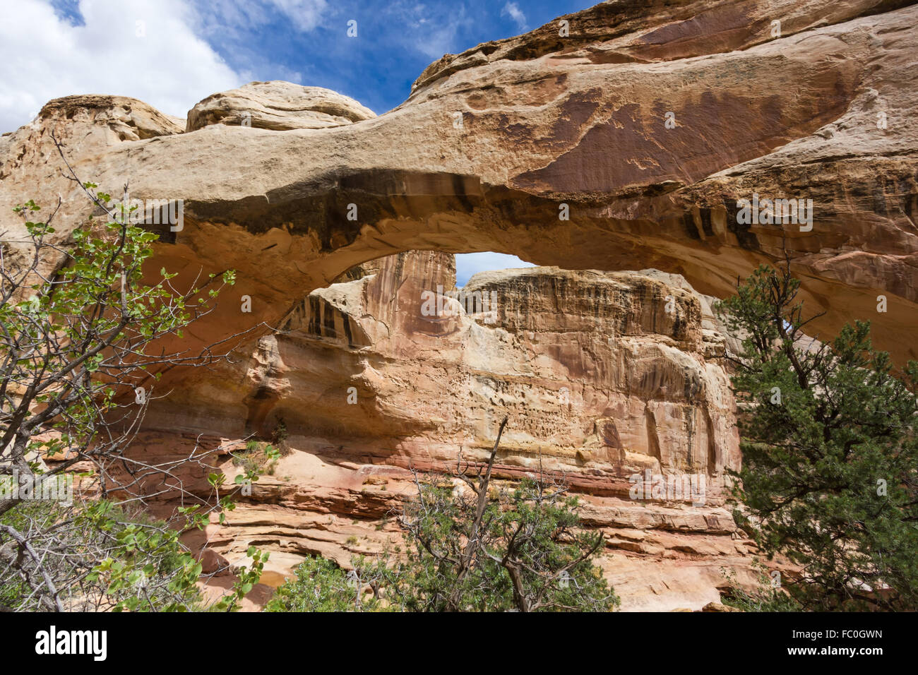 Moab bridge hi-res stock photography and images - Alamy