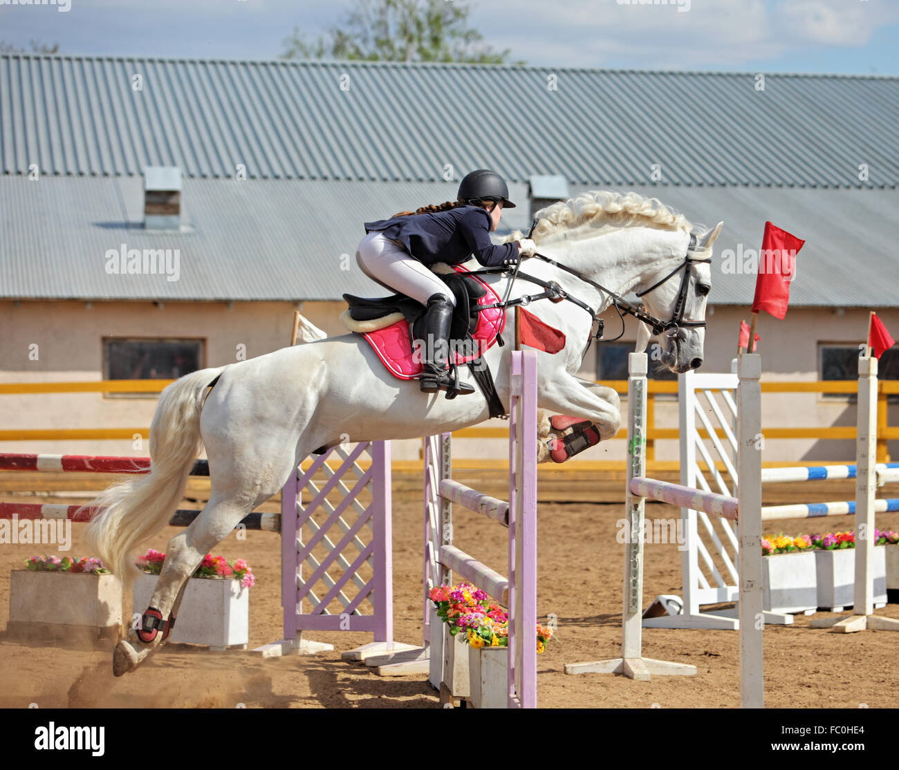 Equestrian girl horseback jumping obstacle Stock Photo - Alamy