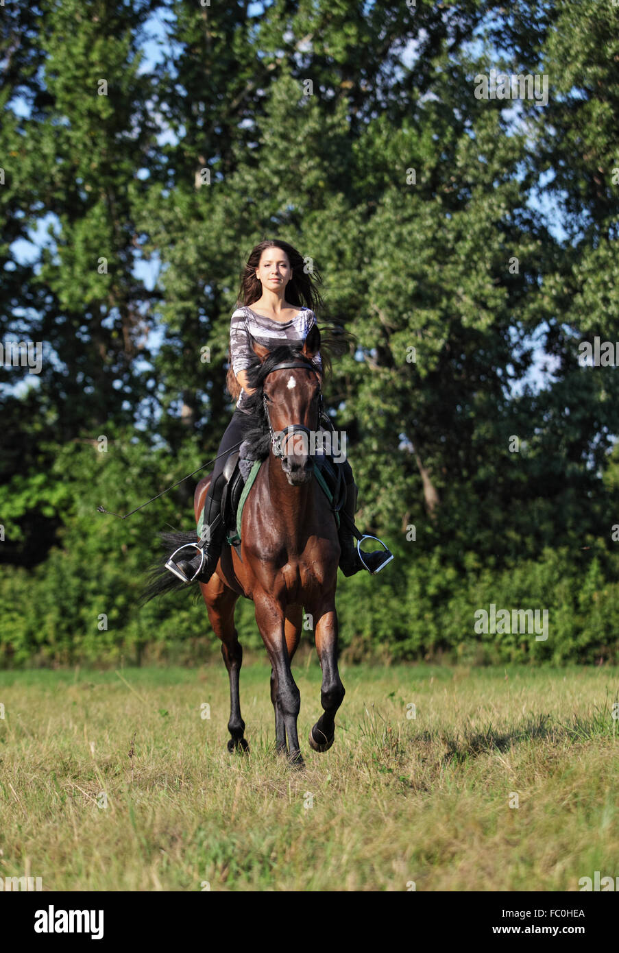 Woman riding horse back hi-res stock photography and images - Alamy