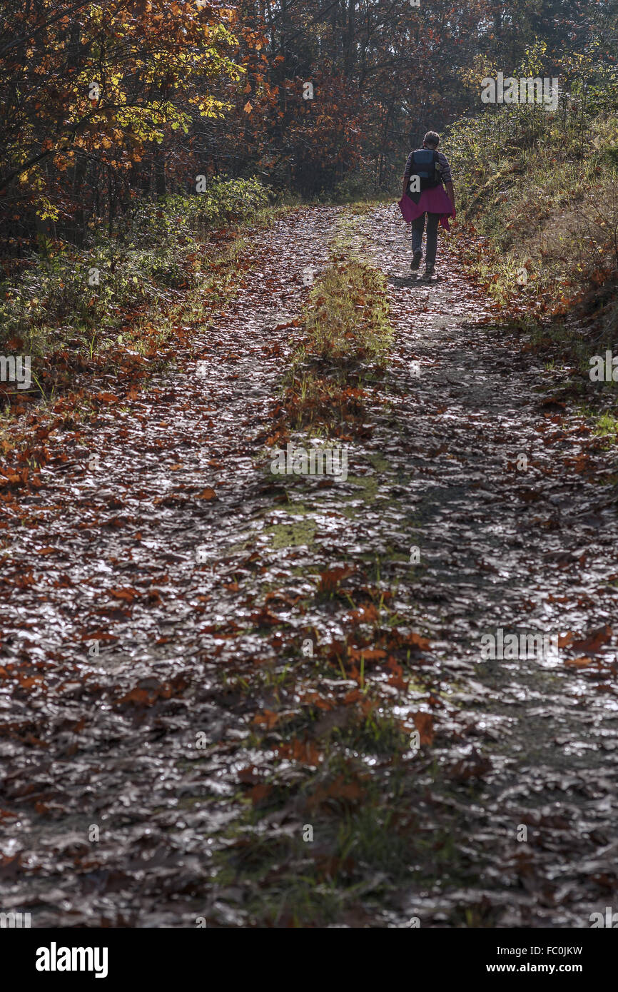 Human being walk hi-res stock photography and images - Alamy