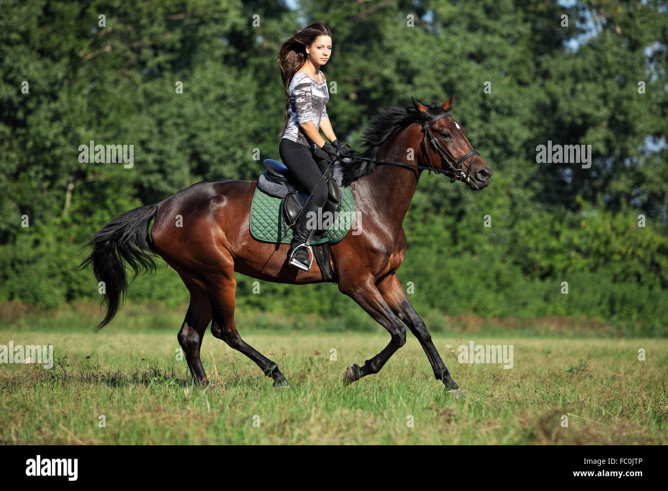 Woman rider on back of her horse in trail Stock Photo - Alamy