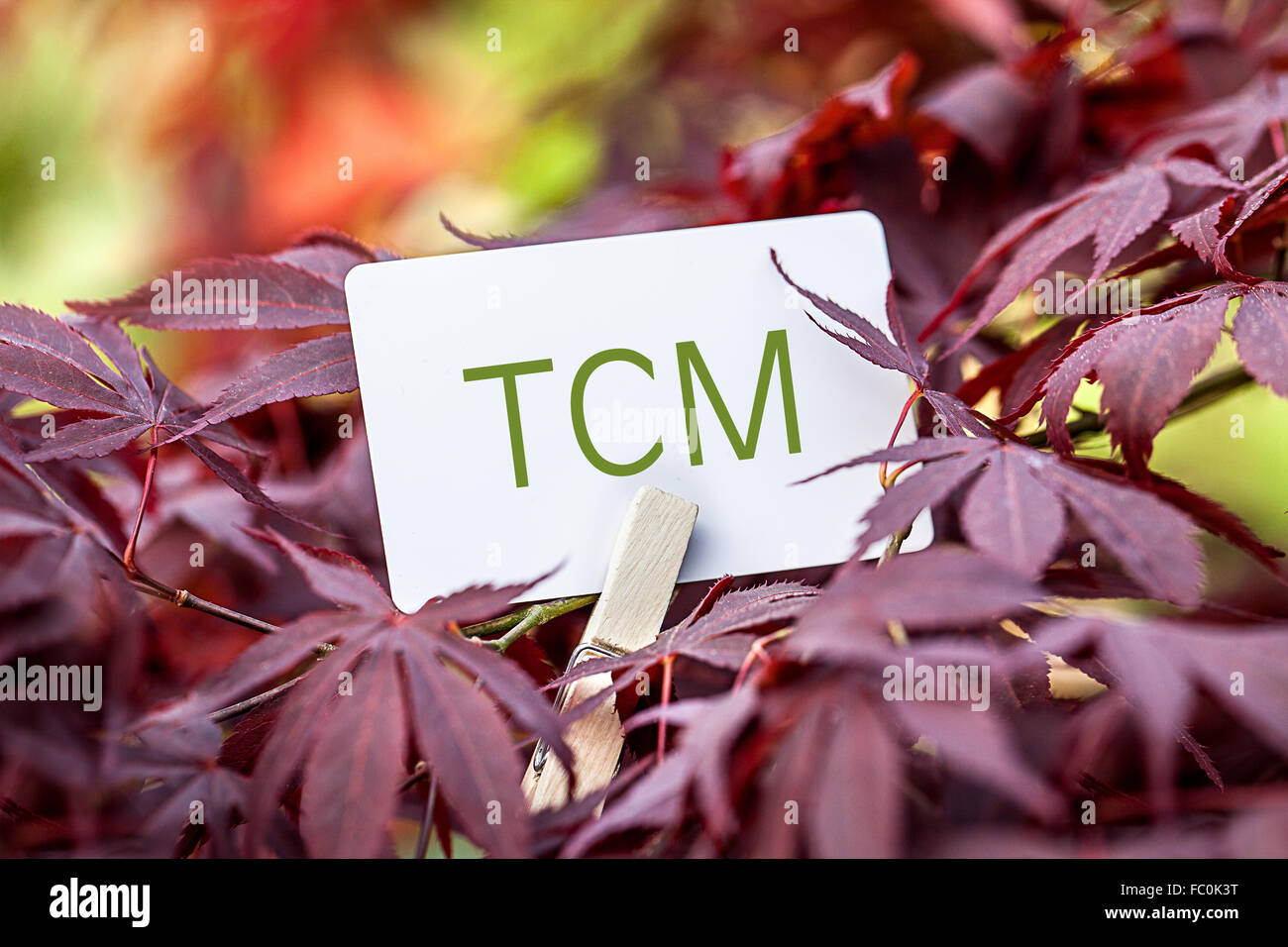 TCM (Traditional Chinese Medicine Stock Photo - Alamy