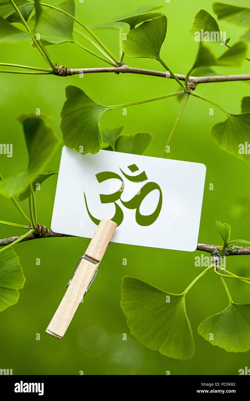 The Om Sign in a Ginkgo Tree Stock Photo - Alamy