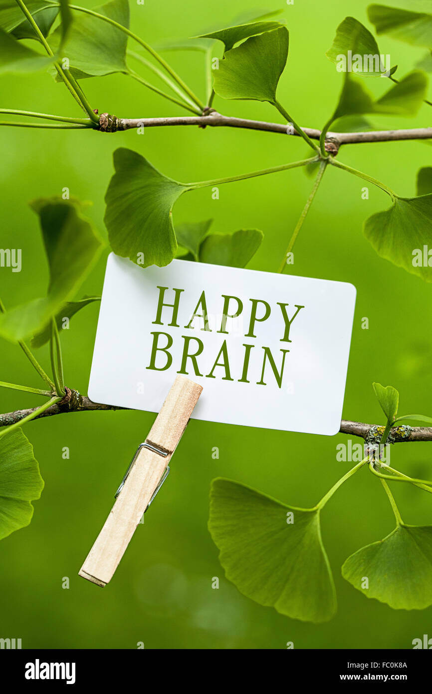The Word “Happy Brain” in a Ginkgo Tree Stock Photo - Alamy