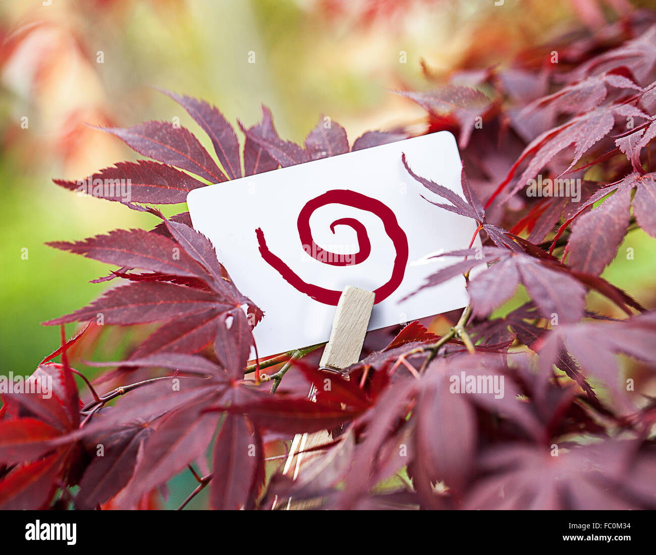 Spirale spirituell hi-res stock photography and images - Alamy
