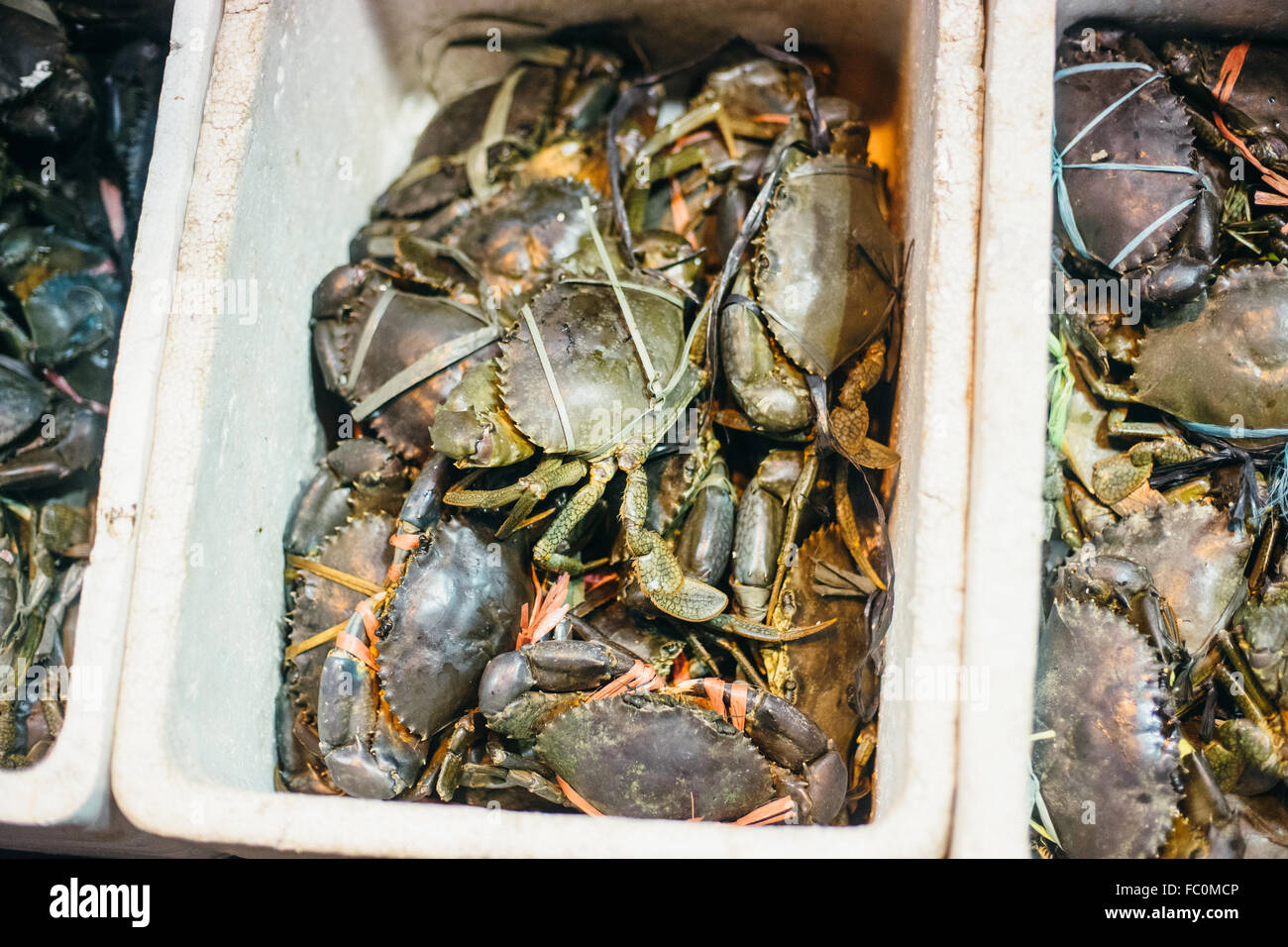 alive crabs for seafood restaurant Stock Photo - Alamy