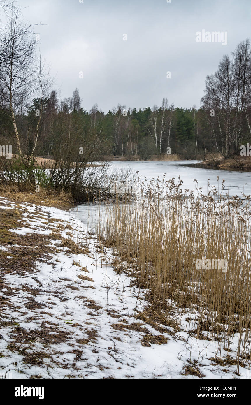 Spring March landscape at wood lake Stock Photo - Alamy