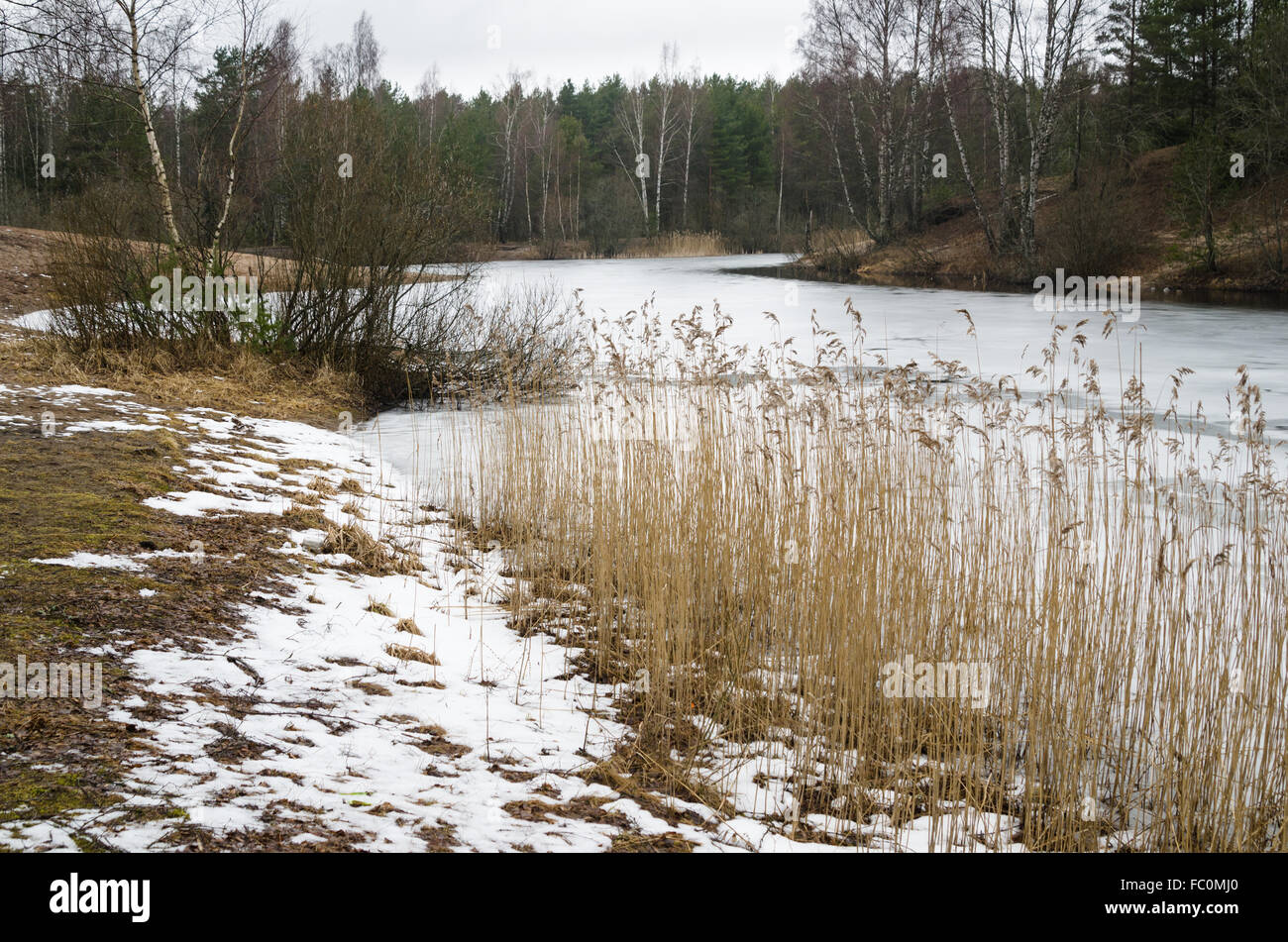Spring March landscape at wood lake Stock Photo - Alamy