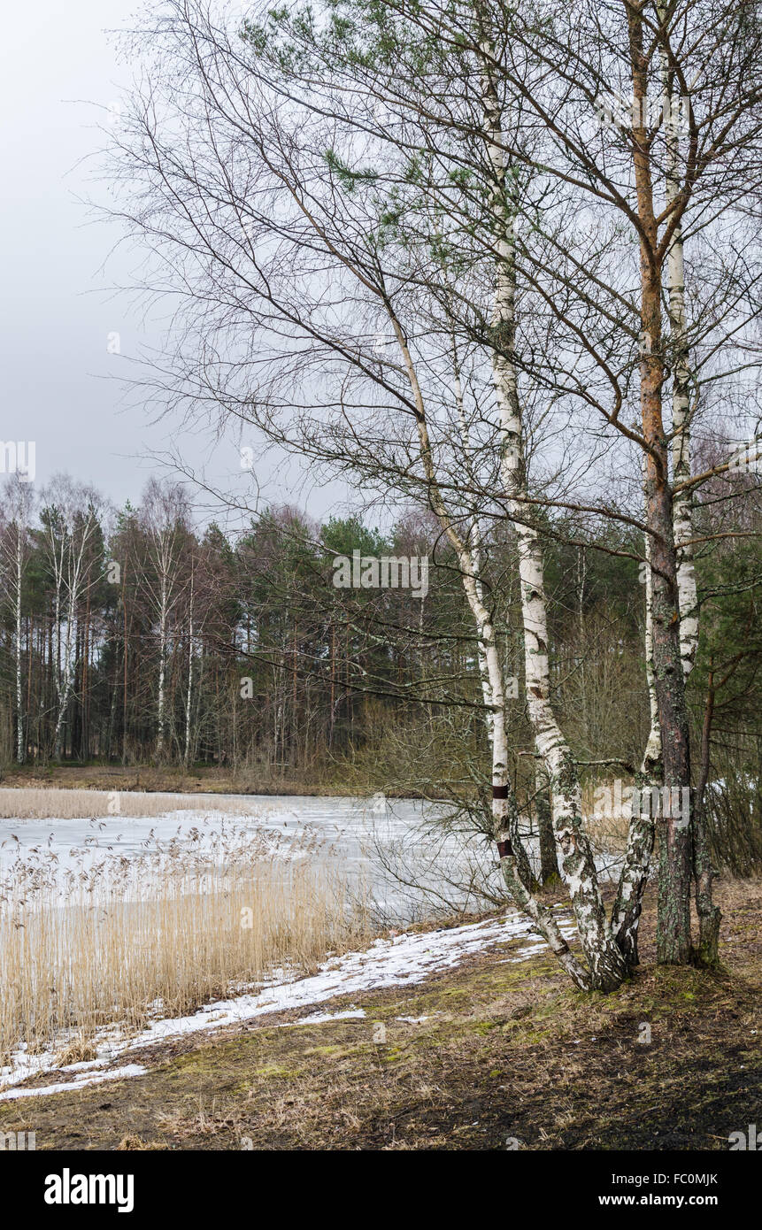 March landscapes hi-res stock photography and images - Alamy