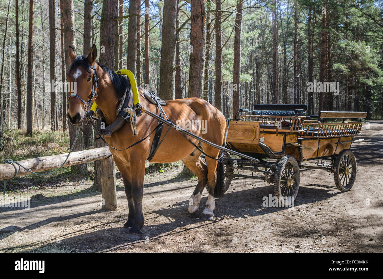 Horse drawn hay cart hi-res stock photography and images - Alamy