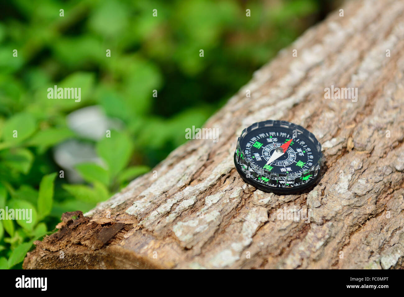 Compass of choice Stock Photo - Alamy
