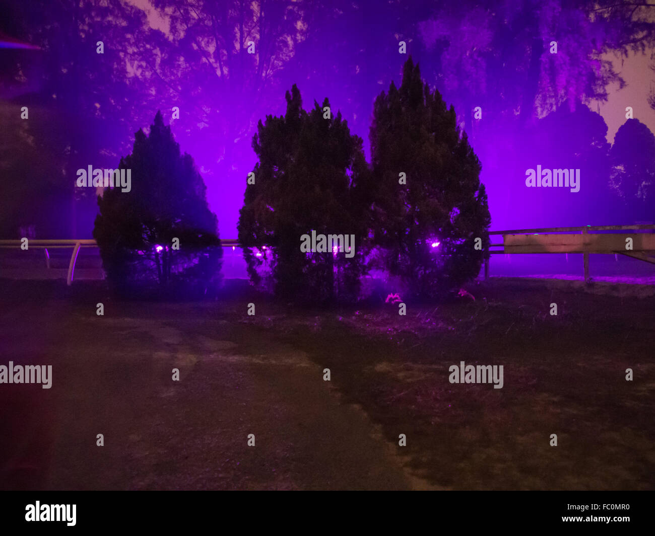 Halo with trees hi-res stock photography and images - Alamy