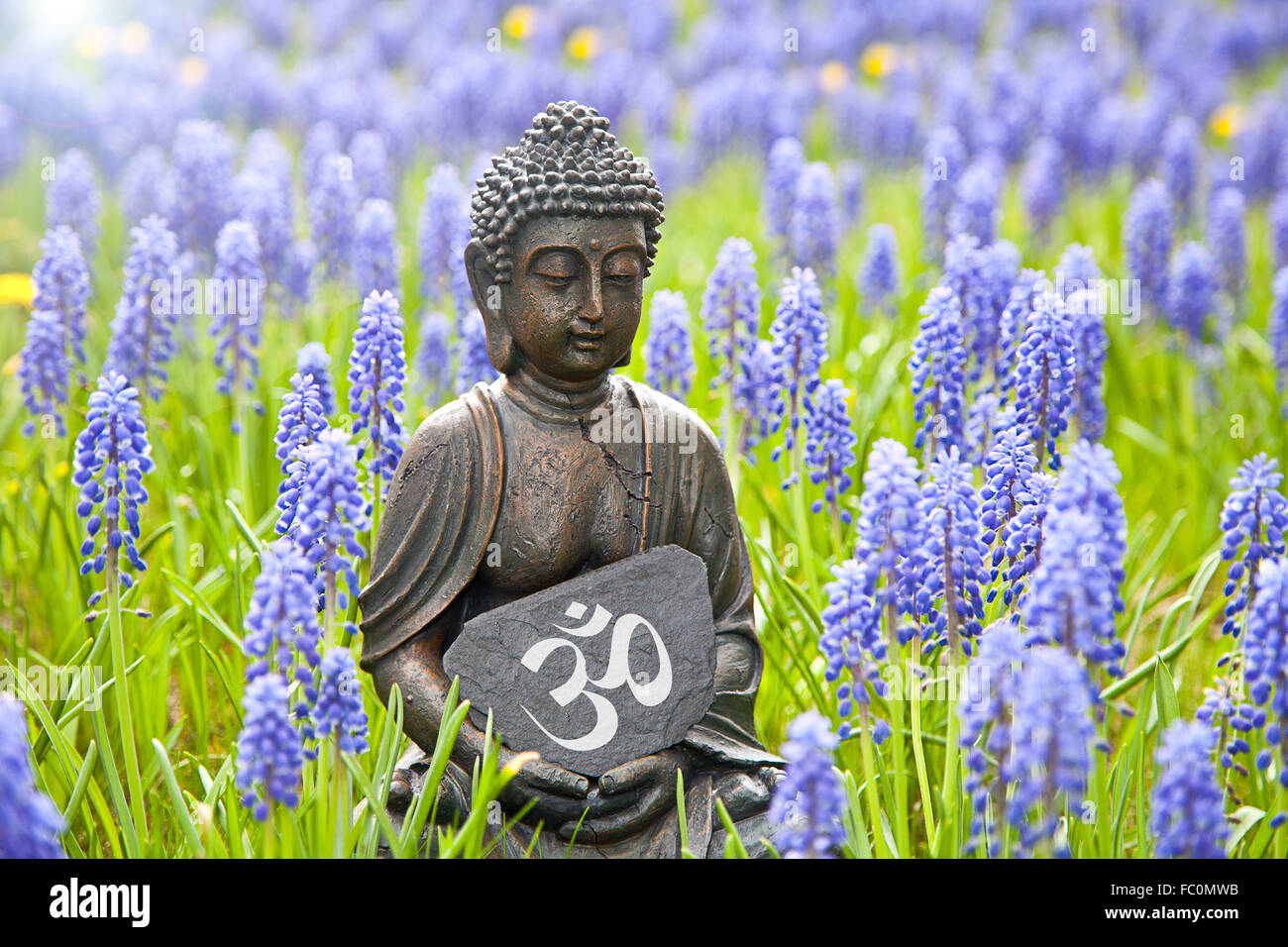 Buddha statue with the Om Sign Stock Photo - Alamy