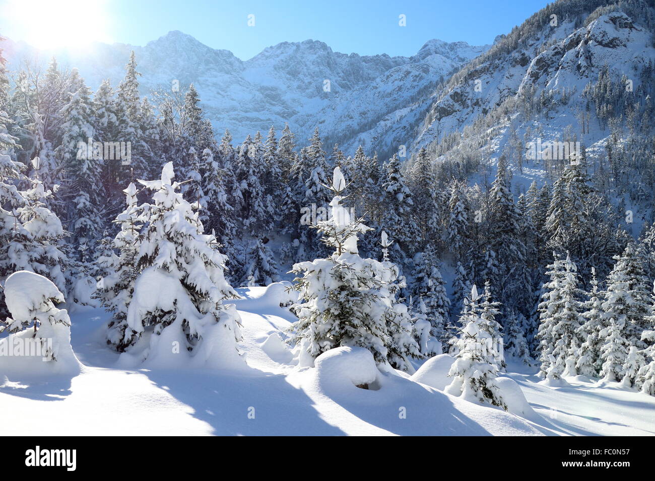 snowy winter landscape Stock Photo - Alamy