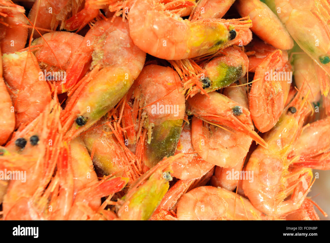 Shrimps fish market (Fisketorget) in Bergen, Norway Stock Photo - Alamy